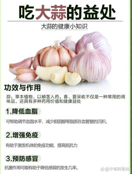 大蒜怎么吃最健康_大蒜的功效与作用-第3张图片-山城妙识