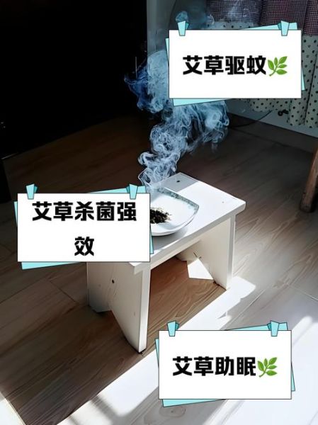 艾叶熏房间有什么好处_艾叶熏房间的正确方法-第1张图片-山城妙识