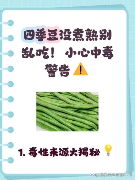 四季豆不能和什么一起吃_中毒真相-第2张图片-山城妙识