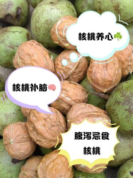 鲜核桃的营养价值及功效_鲜核桃一天吃几个最好-第1张图片-山城妙识
