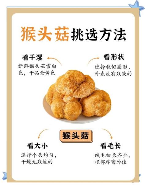 猴头菇一次吃多少克_猴头菇怎么吃最养胃-第2张图片-山城妙识