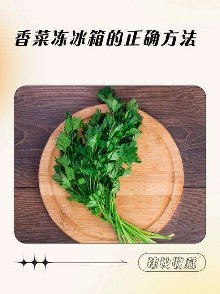 香菜怎么保存_香菜可以放冰箱吗-第3张图片-山城妙识