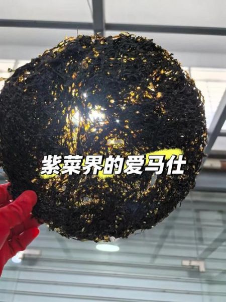 紫菜的营养价值及功效_紫菜可以天天吃吗-第3张图片-山城妙识