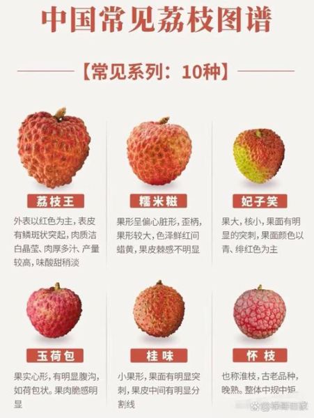 荔枝什么时候成熟_荔枝成熟季节是几月-第1张图片-山城妙识 荔枝什么时候成熟_荔枝成熟季节是几月-第1张图片-山城妙识