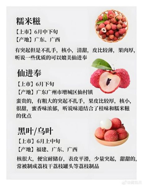 荔枝什么时候成熟_荔枝成熟季节是几月-第2张图片-山城妙识 荔枝什么时候成熟_荔枝成熟季节是几月-第2张图片-山城妙识