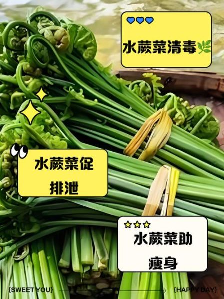 水蕨菜的功效与作用_水蕨菜的副作用有哪些-第2张图片-山城妙识