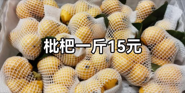 枇杷多少钱一斤_枇杷价格受哪些因素影响-第2张图片-山城妙识 枇杷多少钱一斤_枇杷价格受哪些因素影响-第2张图片-山城妙识