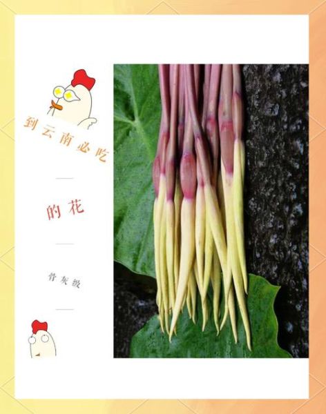芋头花怎么做好吃_芋头花有什么功效-第1张图片-山城妙识
