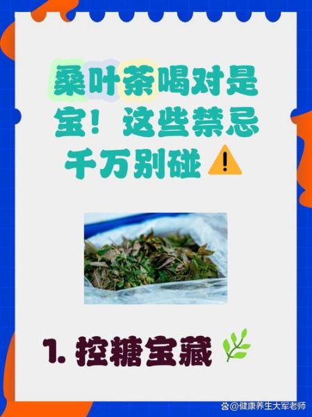 桑叶降血糖怎么吃_桑叶茶能天天喝吗-第2张图片-山城妙识 桑叶降血糖怎么吃_桑叶茶能天天喝吗-第2张图片-山城妙识