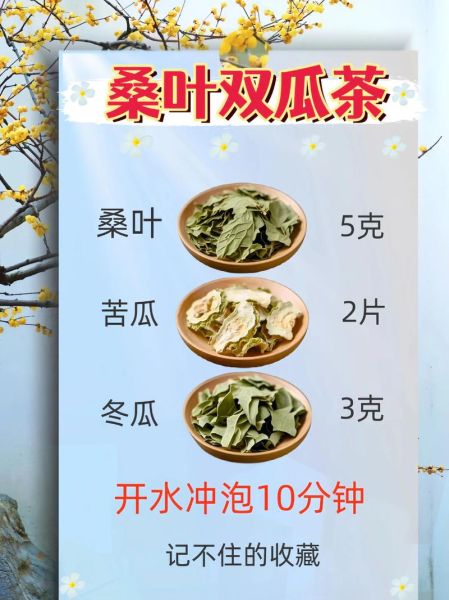 桑叶降血糖怎么吃_桑叶茶能天天喝吗-第3张图片-山城妙识 桑叶降血糖怎么吃_桑叶茶能天天喝吗-第3张图片-山城妙识