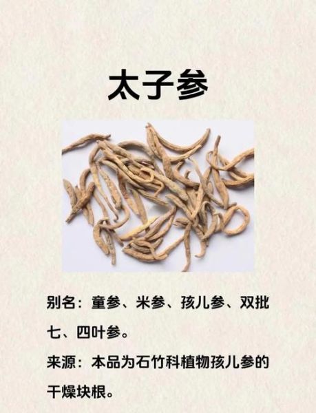 太子参不适宜人群_哪些人不能吃太子参-第3张图片-山城妙识