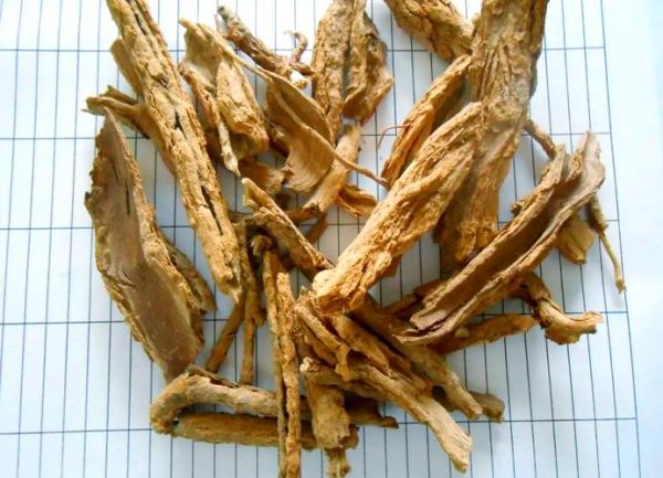 枸杞根长什么样_枸杞根图片特征-第3张图片-山城妙识 枸杞根长什么样_枸杞根图片特征-第3张图片-山城妙识