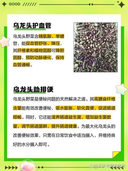 乌头的功效与作用_乌头中毒怎么办-第1张图片-山城妙识 乌头的功效与作用_乌头中毒怎么办-第1张图片-山城妙识