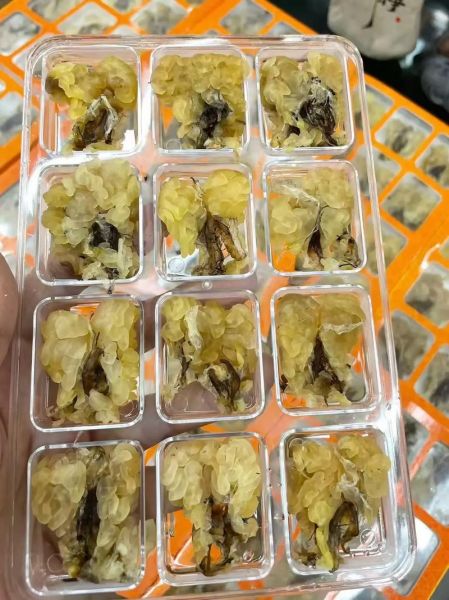 女人多久吃一次雪蛤_雪蛤多久吃一次最好-第2张图片-山城妙识