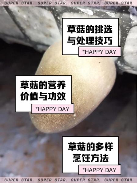 草菇怎么保存_草菇可以冷冻吗-第2张图片-山城妙识