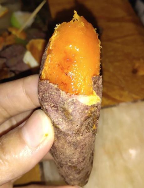 230度烤红薯1小时不熟_烤箱温度设置-第3张图片-山城妙识