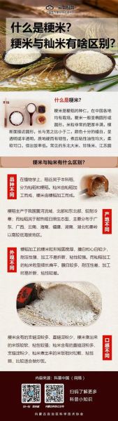 粳米和籼米哪个好_粳米与籼米的区别-第1张图片-山城妙识