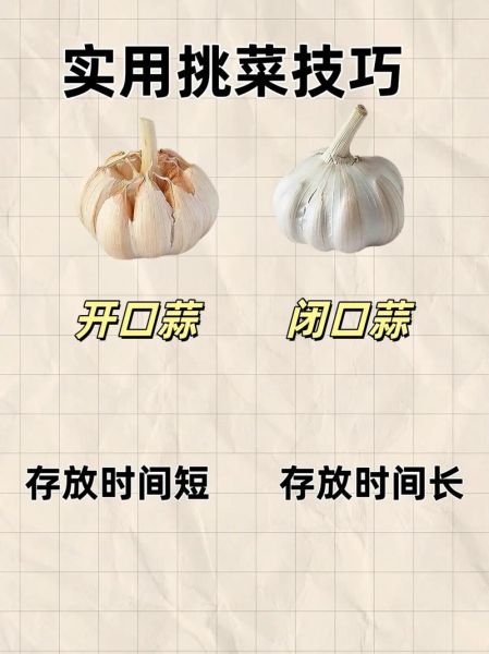 有机蔬菜怎么挑选_有机蔬菜真的更健康吗-第3张图片-山城妙识 有机蔬菜怎么挑选_有机蔬菜真的更健康吗-第3张图片-山城妙识