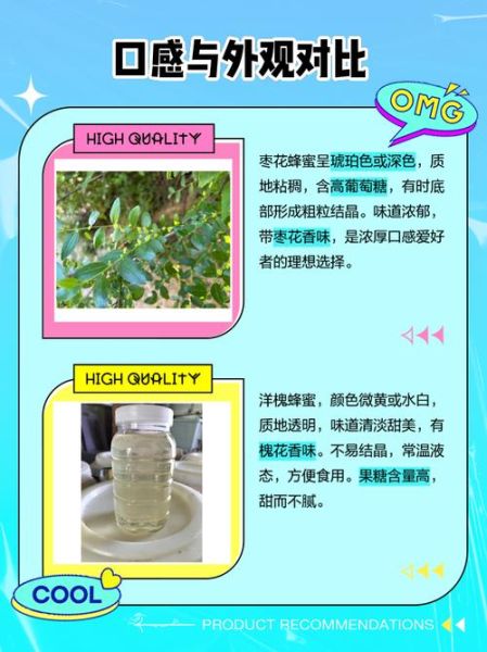 洋槐花蜂蜜和枣花蜂蜜的区别_哪个更好-第1张图片-山城妙识