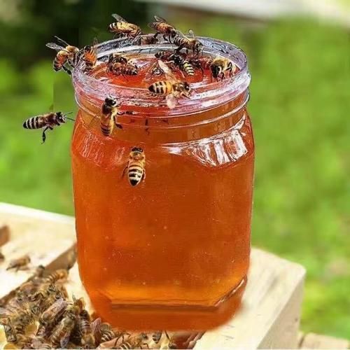 洋槐花蜂蜜和枣花蜂蜜的区别_哪个更好-第3张图片-山城妙识