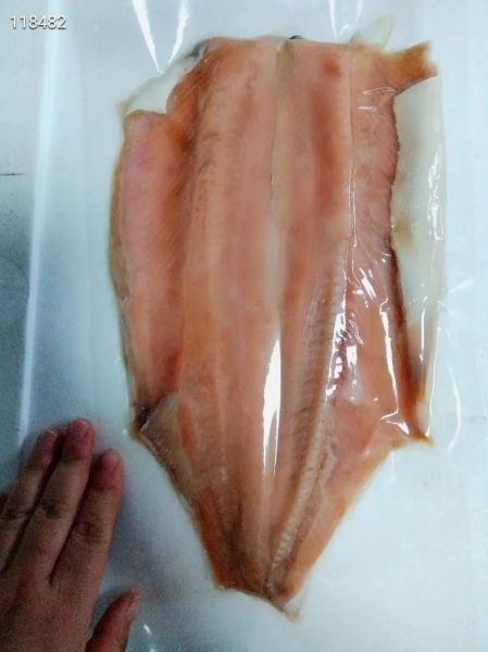 松子鱼是什么鱼_松子鱼学名及产地-第3张图片-山城妙识