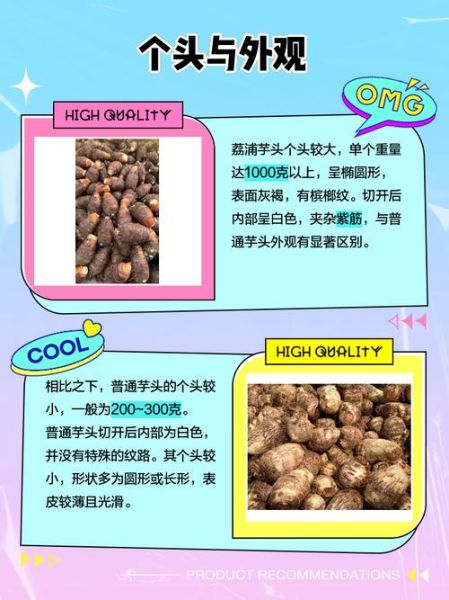荔浦芋头和香芋的区别_哪个更好吃-第1张图片-山城妙识
