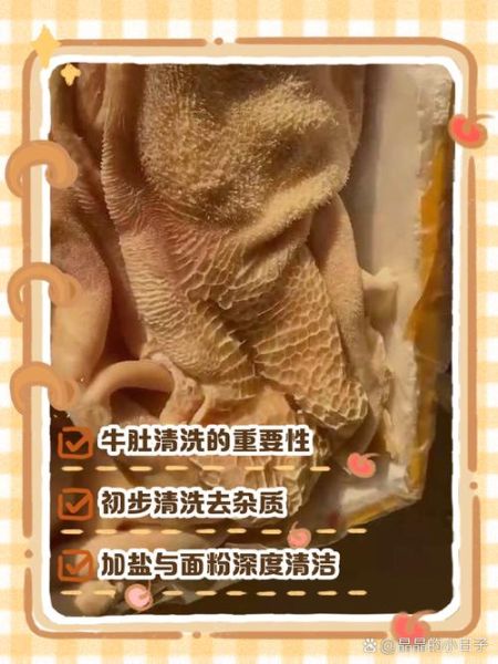新鲜牛肚怎么洗才干净_新鲜牛肚焯水多久-第1张图片-山城妙识