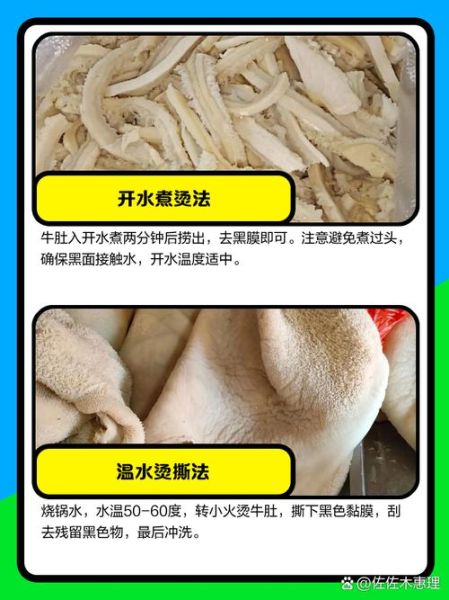 新鲜牛肚怎么洗才干净_新鲜牛肚焯水多久-第2张图片-山城妙识