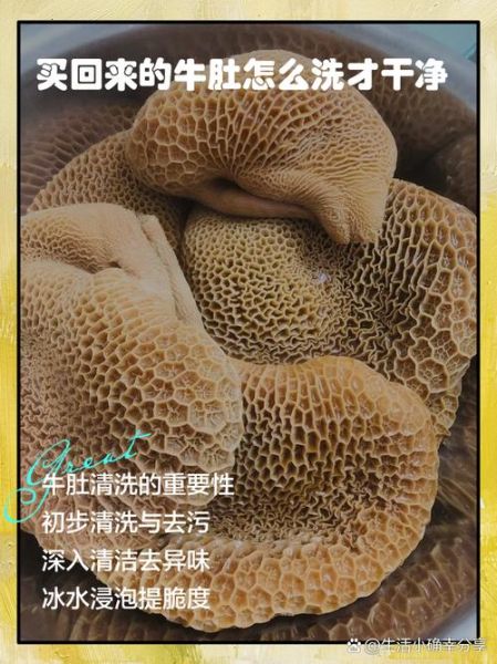 新鲜牛肚怎么洗才干净_新鲜牛肚焯水多久-第3张图片-山城妙识