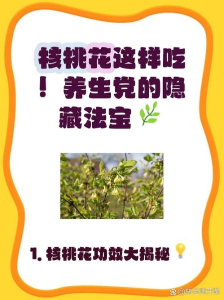 核桃花怎么吃_核桃花的吃法大全-第2张图片-山城妙识