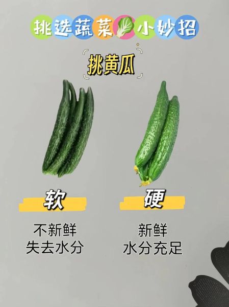 常见蔬菜有哪些_如何挑选100种蔬菜-第2张图片-山城妙识 常见蔬菜有哪些_如何挑选100种蔬菜-第2张图片-山城妙识