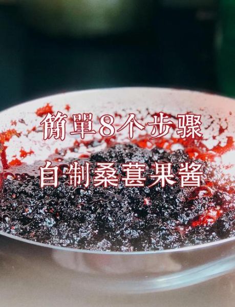 桑葚酱怎么保存不变质_家庭自制桑葚酱的做法-第1张图片-山城妙识 桑葚酱怎么保存不变质_家庭自制桑葚酱的做法-第1张图片-山城妙识