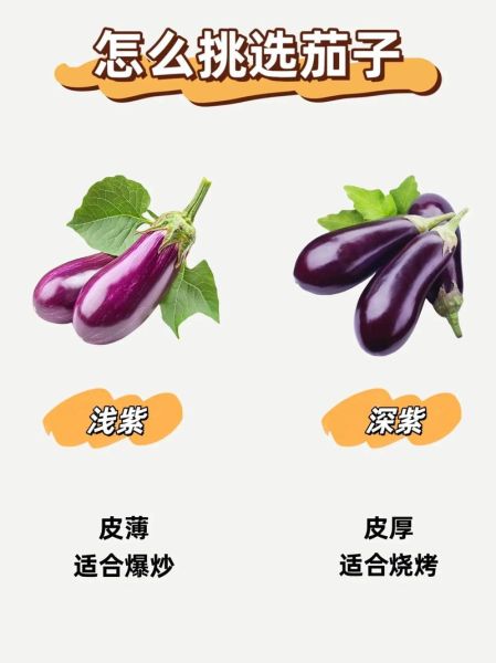 常见蔬菜有哪些_如何挑选100种蔬菜-第3张图片-山城妙识 常见蔬菜有哪些_如何挑选100种蔬菜-第3张图片-山城妙识