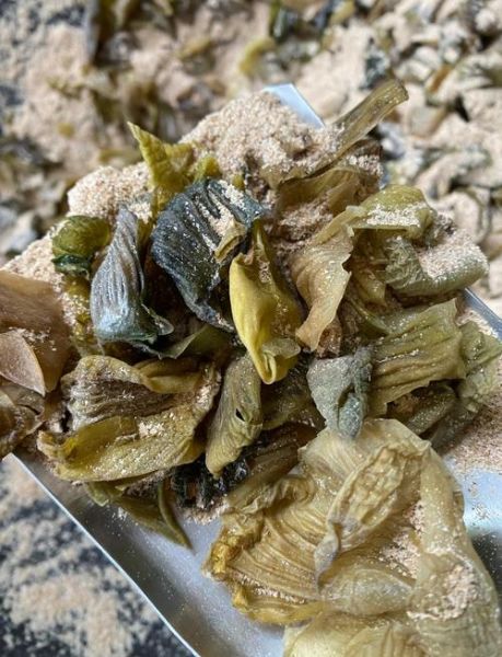 鸡内金图片长什么样_鸡内金真假辨别方法-第1张图片-山城妙识 鸡内金图片长什么样_鸡内金真假辨别方法-第1张图片-山城妙识