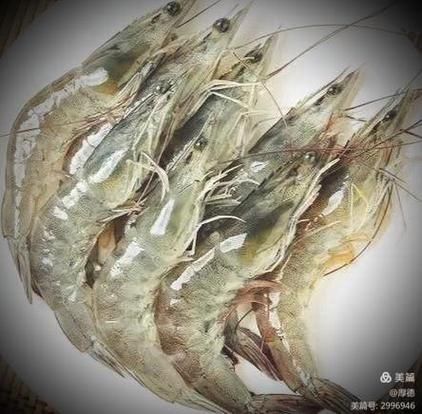 白袍虾仁的由来_白袍虾仁典故背后的文化-第1张图片-山城妙识 白袍虾仁的由来_白袍虾仁典故背后的文化-第1张图片-山城妙识