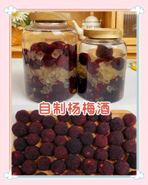 杨梅酒怎么泡制不用酒_无酒精杨梅饮做法-第1张图片-山城妙识