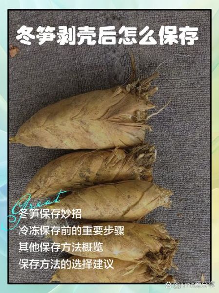 冬笋怎么剥皮_冬笋怎么吃-第2张图片-山城妙识
