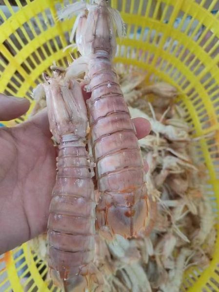 皮皮虾煮多久最佳_如何判断熟没熟-第1张图片-山城妙识