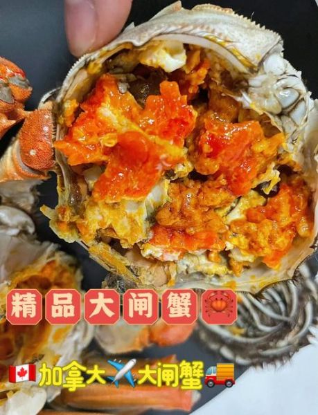大蟹的做法_清蒸大蟹需要蒸多久-第1张图片-山城妙识