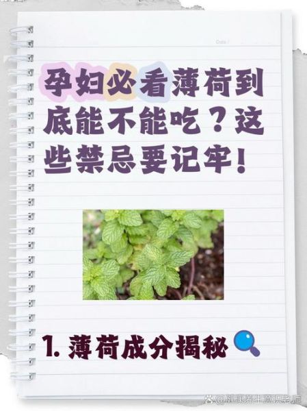 薄荷致癌是真的吗_薄荷醇安全剂量是多少-第2张图片-山城妙识