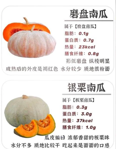 北瓜和南瓜的区别_如何一眼分辨-第3张图片-山城妙识 北瓜和南瓜的区别_如何一眼分辨-第3张图片-山城妙识