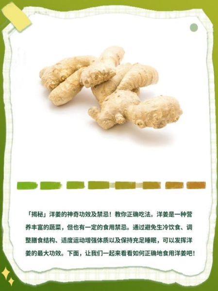 糖尿病人吃洋姜的好处和坏处_洋姜降血糖是真的吗-第3张图片-山城妙识