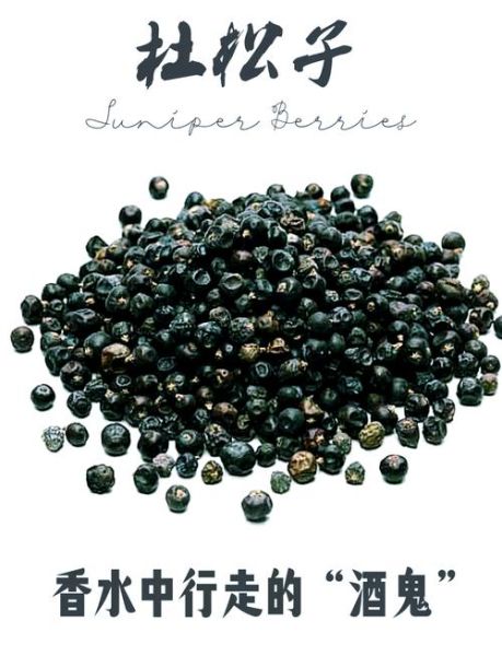 杜松子树黑童话讲了什么_杜松子树童话寓意-第1张图片-山城妙识