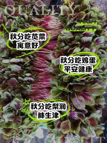 秋分吃什么蔬菜_秋分养生蔬菜推荐-第1张图片-山城妙识