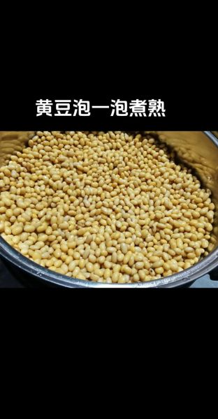 煮黄豆怎么煮才软烂_煮黄豆需要提前泡多久-第2张图片-山城妙识