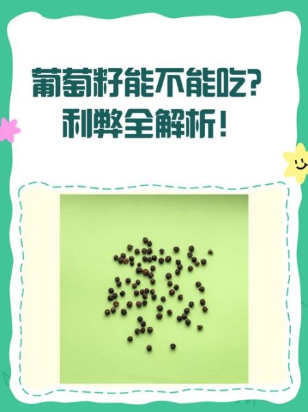 葡萄籽晚上吃好吗_葡萄籽为什么不建议晚上服用-第3张图片-山城妙识 葡萄籽晚上吃好吗_葡萄籽为什么不建议晚上服用-第3张图片-山城妙识