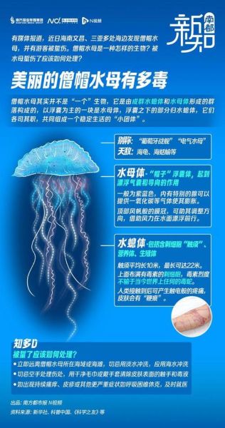 水母能吃吗_水母是不是有毒-第1张图片-山城妙识