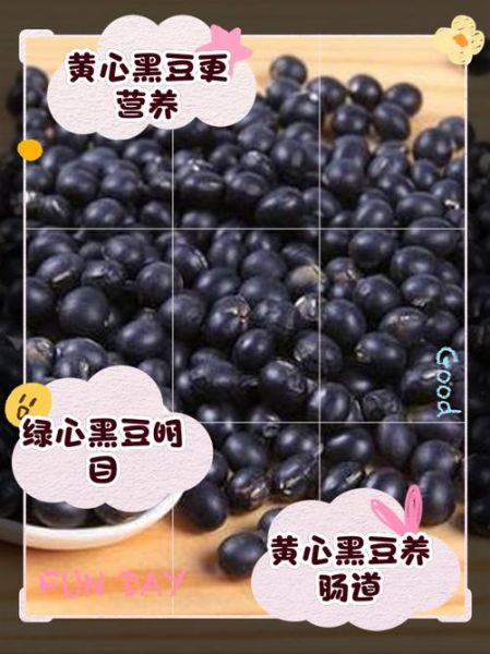 小黑豆和大黑豆的区别_哪个营养价值更高-第1张图片-山城妙识