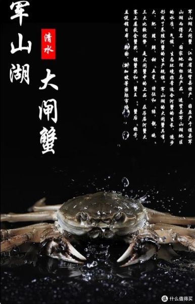 军山湖大闸蟹多少钱一斤_正宗军山湖大闸蟹价格表-第1张图片-山城妙识 军山湖大闸蟹多少钱一斤_正宗军山湖大闸蟹价格表-第1张图片-山城妙识