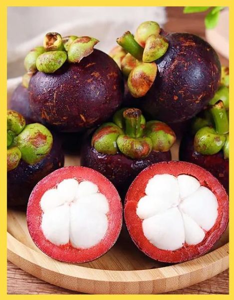 山竹怎么挑_山竹多少钱一斤-第3张图片-山城妙识